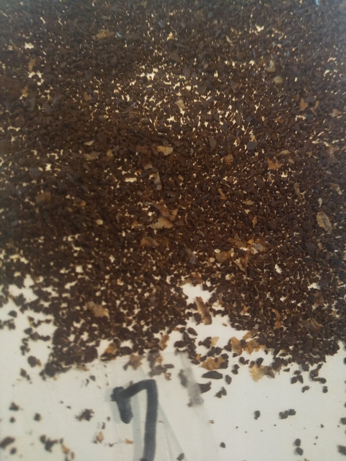 ditting社最新鋭コーヒーグラインダー「804LAB SWEET」の実力は？①基本編 12段階の粒度設定、ディスクカッターによるグラインド性能を検証！ | Sotopia