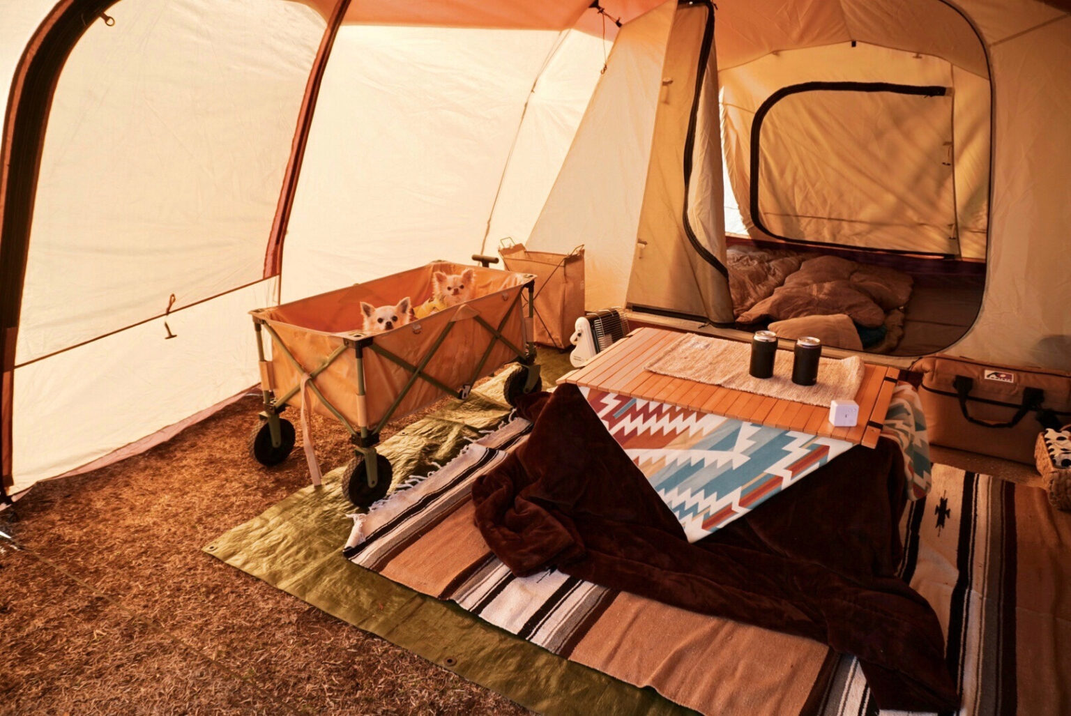 冬キャンプのテント内レイアウトはどうする？スタイル別・人数別に解説 | Sotopia