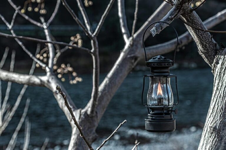 スケーターズランタンで人気の商品TOP10！歴史や入手法を紹介 | Sotopia