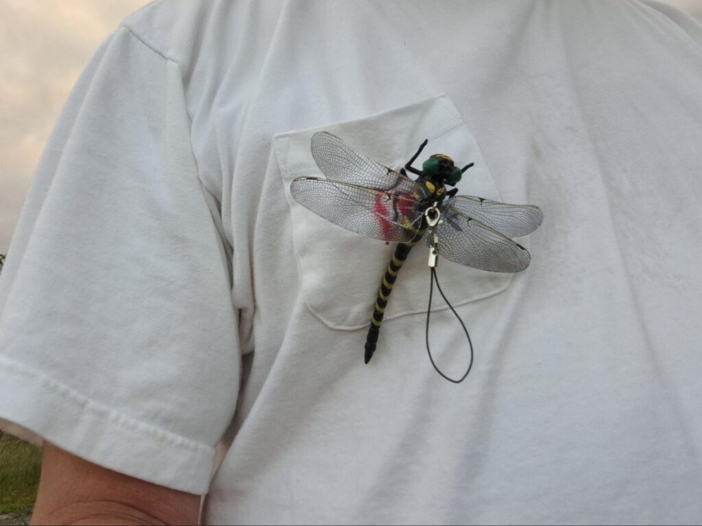 キャンプ用虫よけグッズ「おにやんま君」は効果なし？実験とSNSで評判を検証 | Sotopia