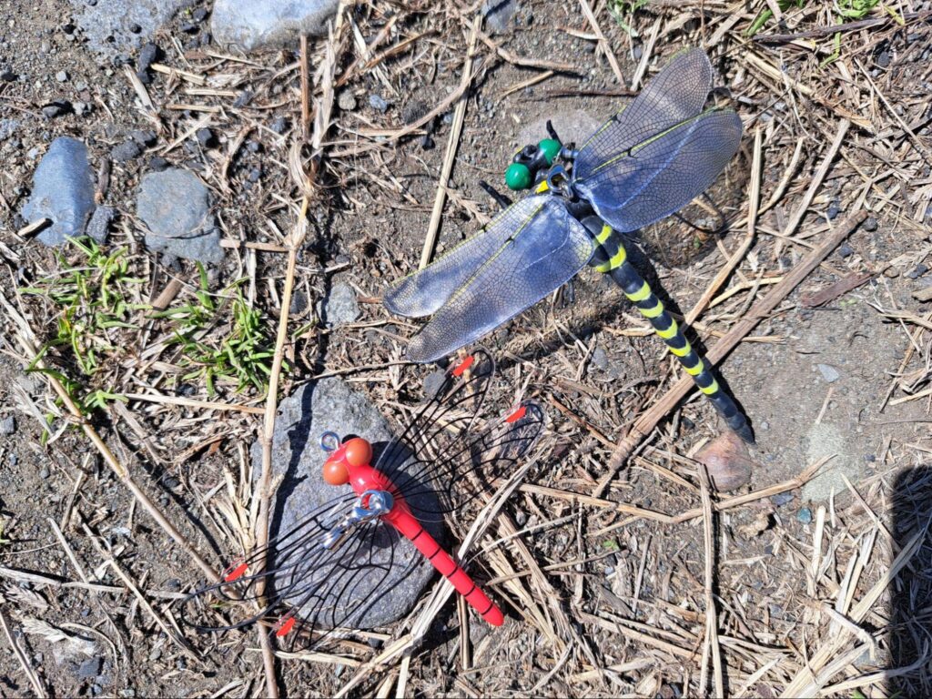 キャンプ用虫よけグッズ「おにやんま君」は効果なし？実験とSNSで評判を検証 | Sotopia