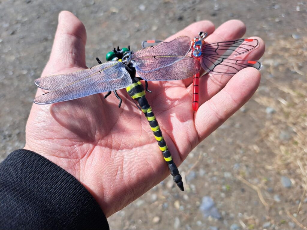 キャンプ用虫よけグッズ「おにやんま君」は効果なし？実験とSNSで評判を検証 | Sotopia